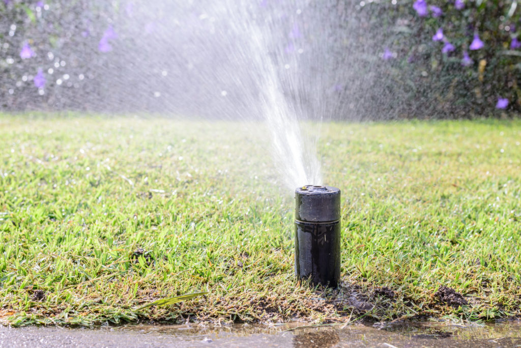 Take the Worry Out of the Summer with In-Ground Sprinklers - Textured ...